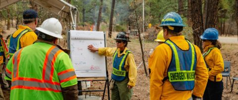 Fire Information | Custer County CO